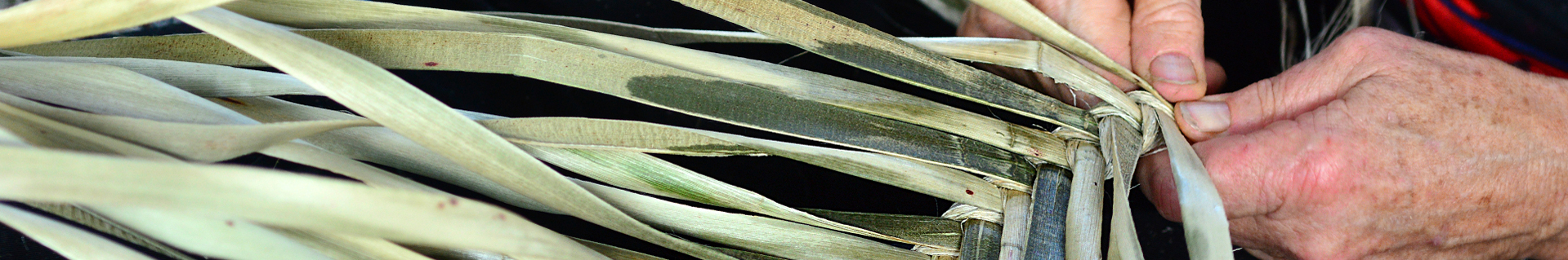 Pathways Awarua - Futures Academy